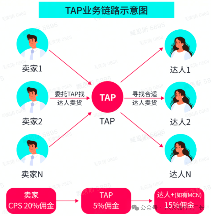 TikTok生态中：TAP、TSP、MCN有哪些区别？详细拆解TAP作用、玩法、开通方式... | TKFFF首页